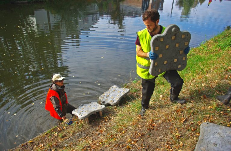 Caches à poissons – Contrat de Rivière pour la Lesse